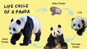 ABC's of Applied Biology